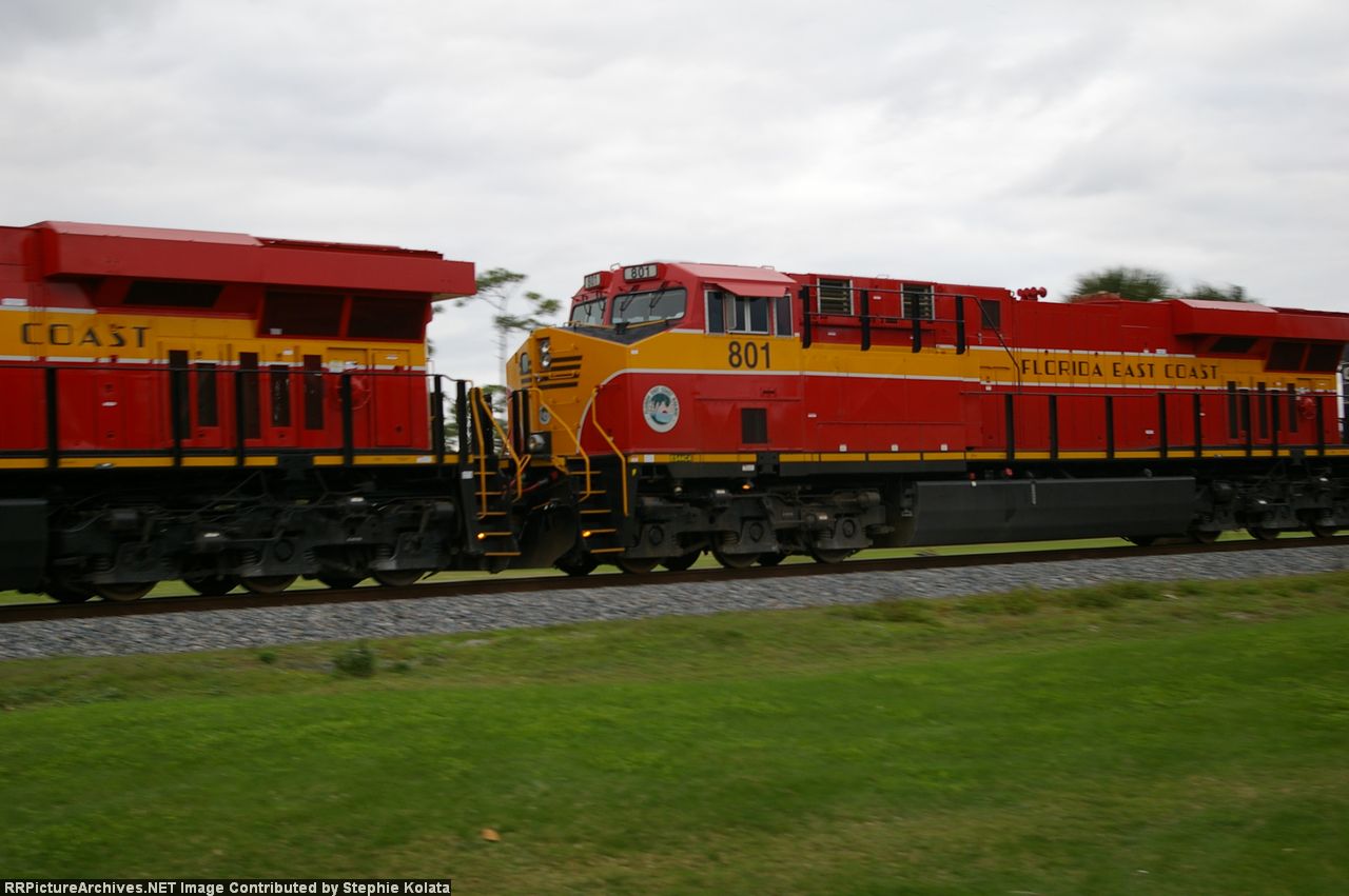 FEC 801 JUST COUPLE DAYS OLD